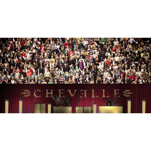 Chevelle Official Merch Store | Get Some Merchandise – Band T-Shirts ...